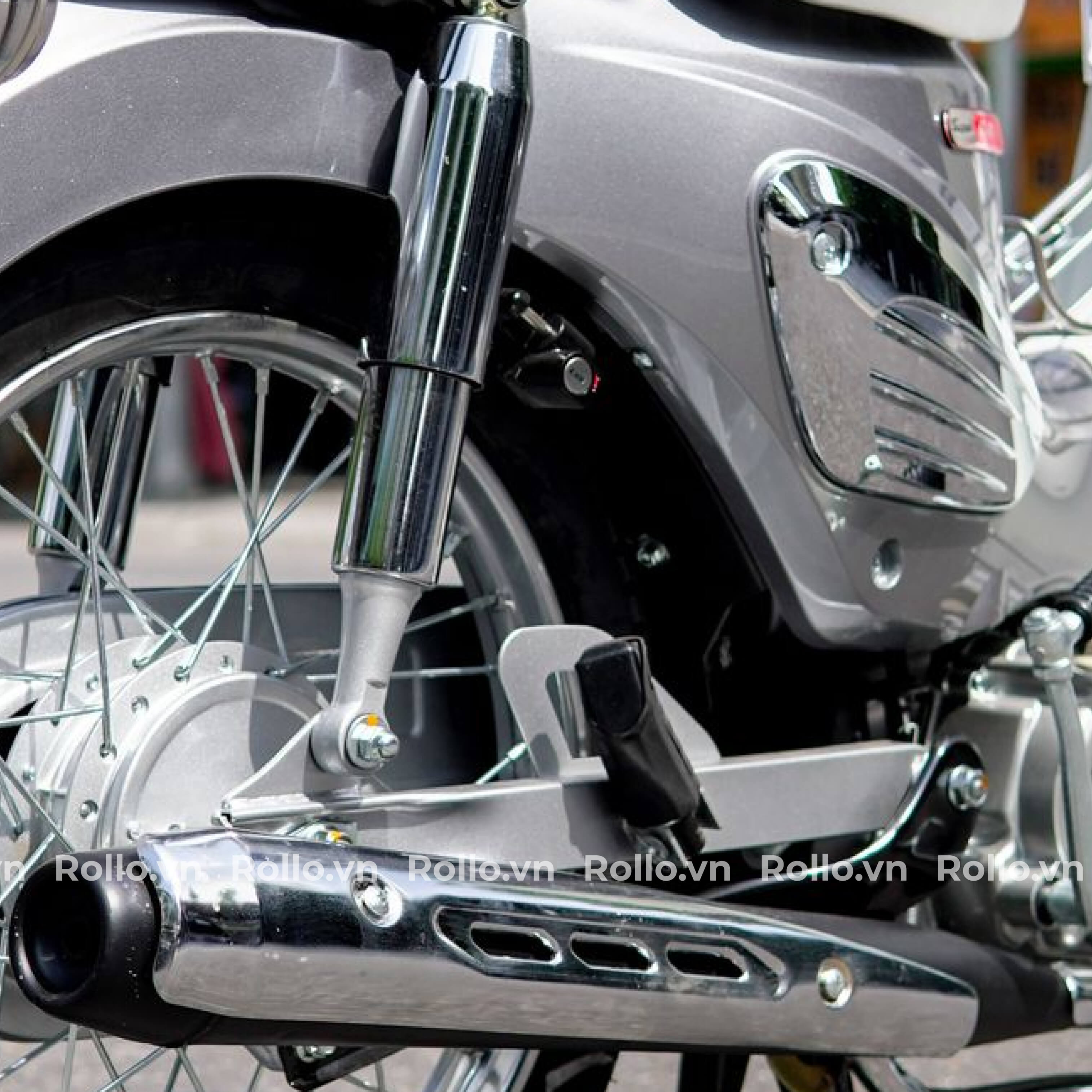 XE CUB 50CC 81 DAELIM 2022 - XE CHẤT LƯỢNG, BẢO HÀNH 3 NĂM |ROLLO.VN